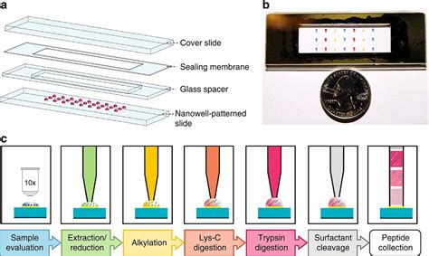 Overcoming The Challenges Of Spatial Proteomics
