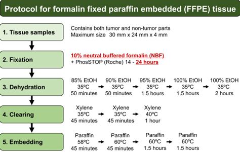 Formalin Fixed Paraffin Embedded Sample Conditions For Deep Next Generation Sequencing Journal