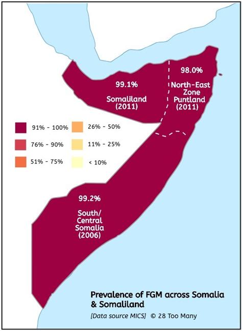 The Prevalence Of Female Genital Mutilation In Maps On The Web