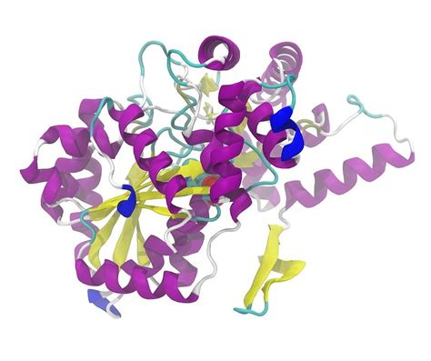 About Structural And Comparative Genomics Collections F1000research