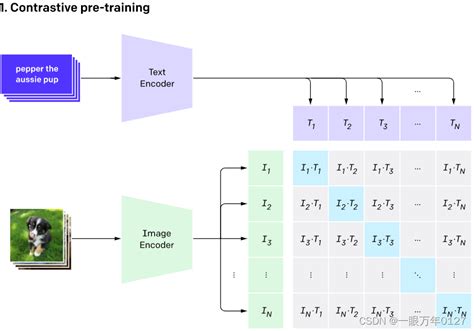 大模型学习 Clipclip模型 Csdn博客