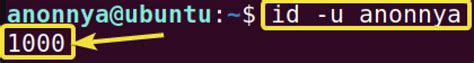 The “id” Command In Linux [7 Practical Examples] Linuxsimply