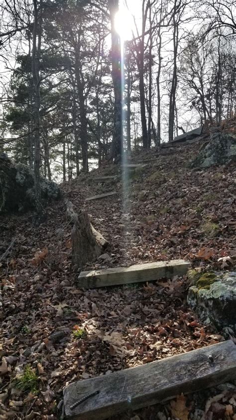 Bigpicture Mindfulnessmatters Bethany Wallace