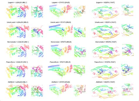 molecular docking simulation of compound target binding using