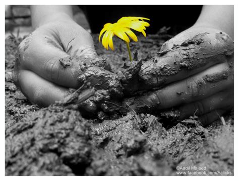 Faika Kashmir Life Latest News And Breaking News From Kashmir