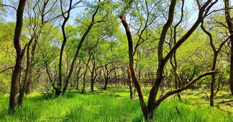 고창 고인돌·운곡습지 환경부 ‘이달의 생태관광지 선정 고창 고인돌·운곡습지 환경부 ‘이달의 생태관광지 선정