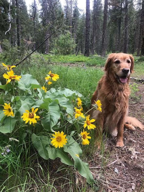 Personal Natalie Allen