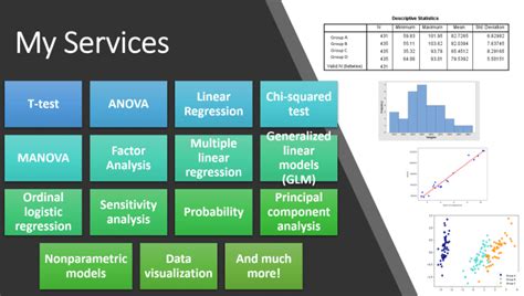 do statistical data analysis visualization and interpretation by