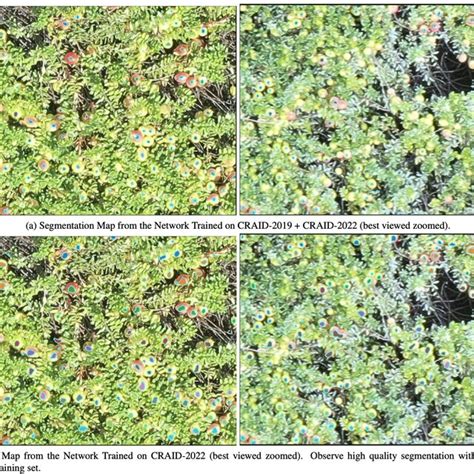 example predicted cranberry segmentation maps overlaid on the original