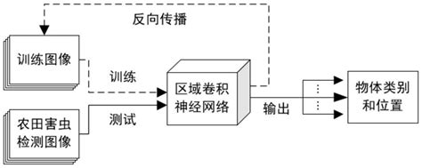 A Method Of Agricultural Pest Detection Based On Regional Convolutional