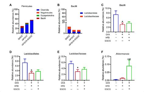 Different Abundances Of Gut Microbiota In The Firmicutes And Download Scientific Diagram
