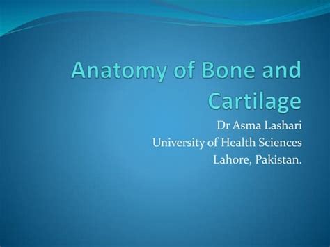 Bone And Cartilage 2 Pptx