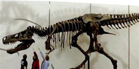 Sore Throat Kills T Rex Fox News Video