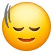 🙂 Head Shaking Vertically Emoji Meaning Copy And Paste