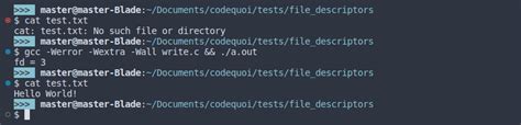 handling a file by its descriptor in c codequoi