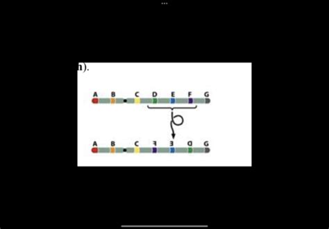 Biol 233 Exam 2 Flashcards Quizlet