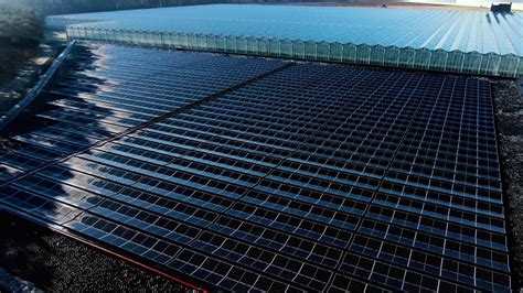 Ansys Ls Dyna ® Oasys Ls Dyna 環境