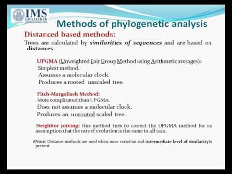 Methods Of Constructing Phylogenetic Tree YouTube