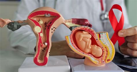 Como é o Tampão Mucoso da Gestante e Com Quantas Semanas Ele Sai? - Mammy to be