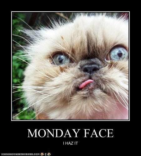 Happy Monday Cat Meme