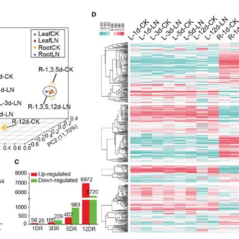 Chromosomal Localization And Syntenic Relationship Of Nitrogen N