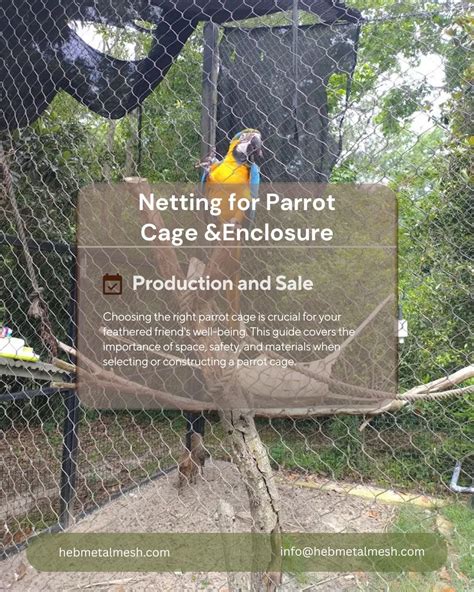 Aviary For Parrots Choosing The Right Materials