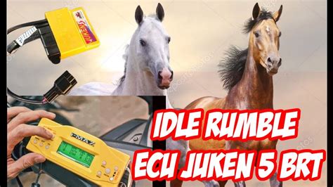 🔴IDLE RUMBLE🐴🐴🐴🐴 ..PAKE ECU JUKEN 5 BRT..BY CEMARA MOTOR - YouTube