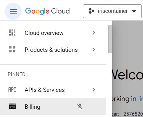 Tutorial Deploy Your Dockerized Application On Google Cloud InterSystems