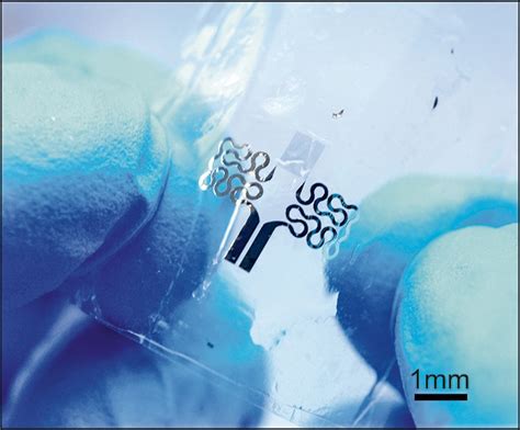 Disposable Sensor Could Report When Food Isnt Fresh Futurity