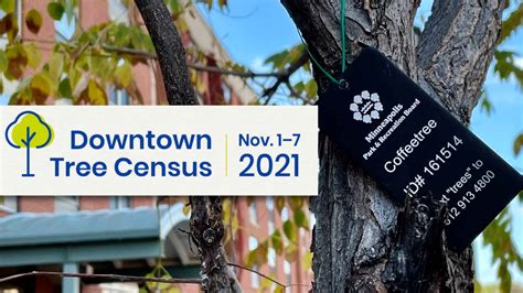 Prizes Offered To Those Helping With Tree Census North Loop