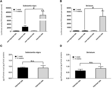 Monitoring Of αsyn Oligomerization Ex Vivo Using Protein Download