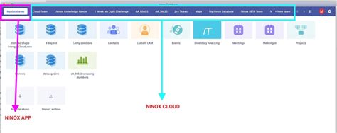 ninox products app vs cloud learn and share ninox community