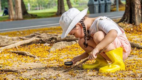 Naturalistic Learning