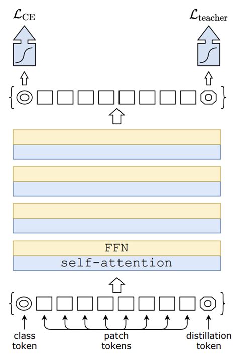 Training Data Efficient Image Transformers And Distillation Through Attention