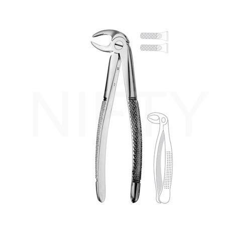 Extracting Forcep English Pattern Roots And Molar 33 Nifty Medical Supplies