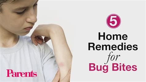 What Happens If A Cockroach Bites You Risks And Treatment Howgardenblog