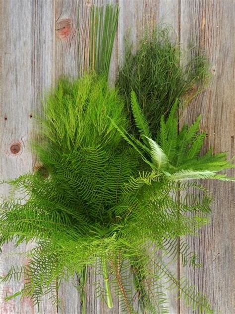 Wholesale Mixed Australian Assorted Greens Delivered Online Flowerfarm
