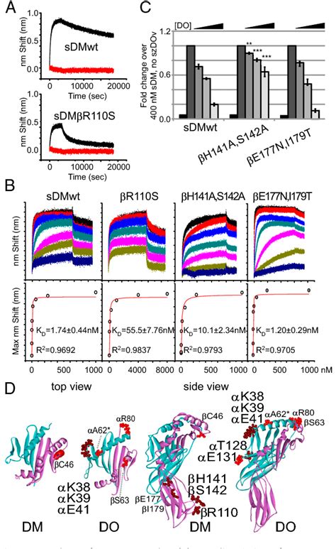 Figure From Mapping The HLA DO HLA DM Complex By FRET And Mutagenesis Semantic Scholar