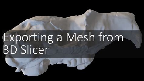 exporting a mesh from 3d slicer introduction to digital preparation