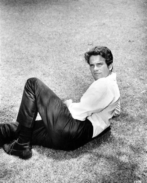 33 Gorgeous Photos Of Warren Beatty In The 1950s And 1960s ~ Vintage