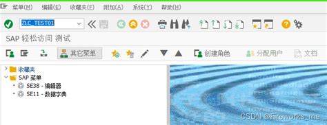 Sap客制化区域菜单和img配置清单sap客制化img Csdn博客