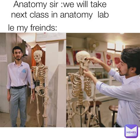 Take Anatomy Meme