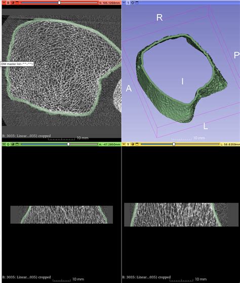 hollow nrrd file upon export support 3d slicer community