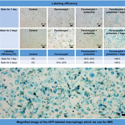 A Labeling Efficiency Of Different Labeling Methods The Labeling