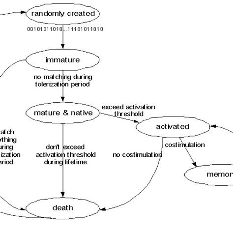 Negative Selection And Anomaly Detection Based On Forrest Et Al 1