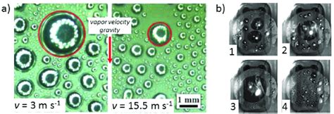 Effect Of Vapor Velocity And Wettability Gradient Surfaces On Dropwise