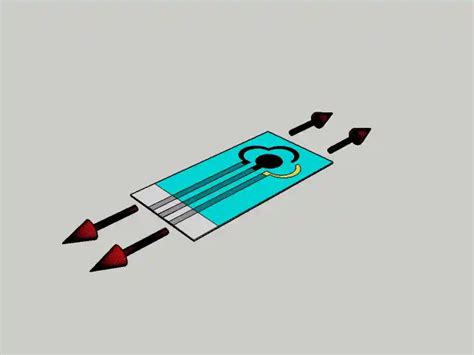 Nanoelectronics And The Evolution Of Electric Nanobiosensors