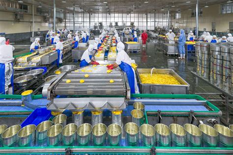 订单暴涨十倍 山东小镇生产出全国三成的黄桃罐头 新浪新闻