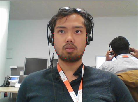 Github Jjsalomonfaciallandmarkdetection Facial Landmark Detection Using Python