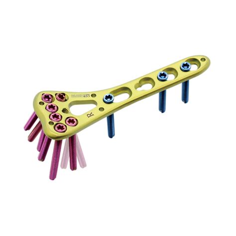 Distal Radius Locking Plate Ⅰ Variable Angle Oemandodm